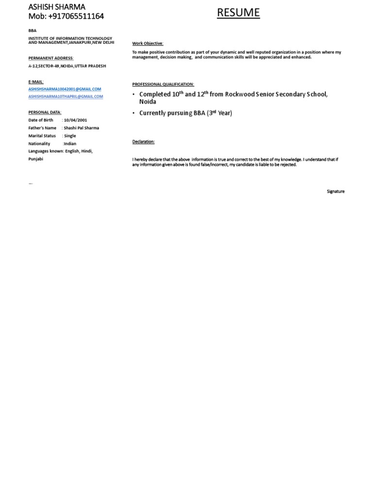 Ashish Sharma Bba CV | PDF