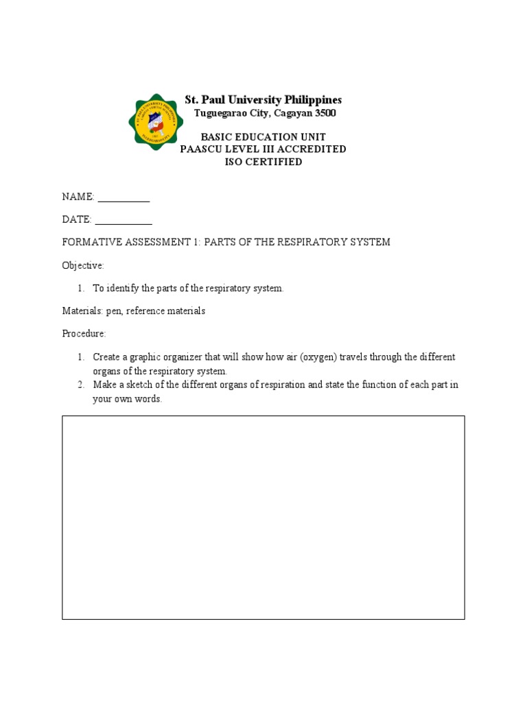 Formative Assessment-Respiratory System | PDF