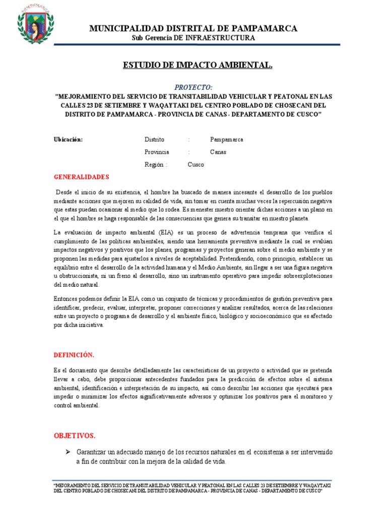 FORMATO - 24 Informe de Estudio Ambiental | PDF | Evaluación de impacto ambiental | Entorno natural