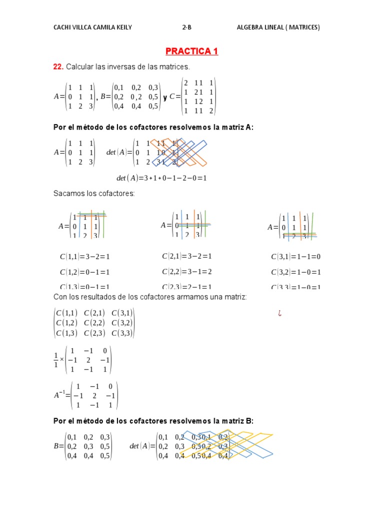 Practica 1 - Algebra | PDF | Análisis matemático | Funciones y mapeos