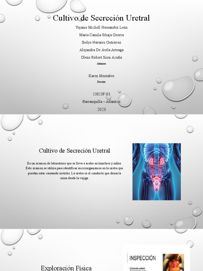 Cultivo de Secrecion | PDF | Especialidades Medicas | Medicina CLINICA