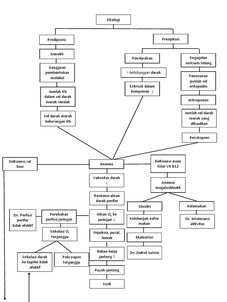 Pathway Anemia | PDF