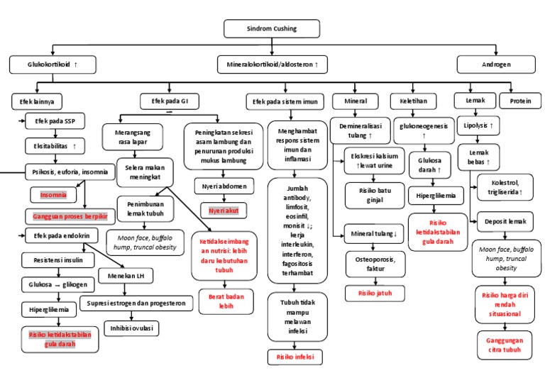 Pathway Cushing Syndrome | PDF