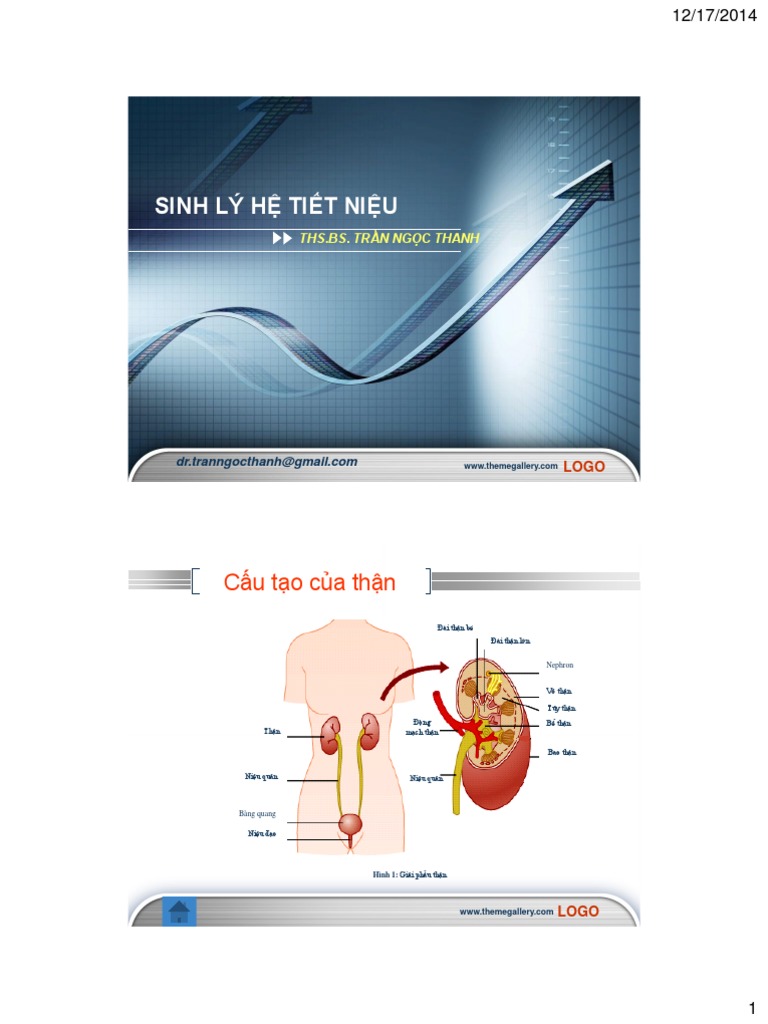 6 Sinh Ly He Tiet Nieu | PDF