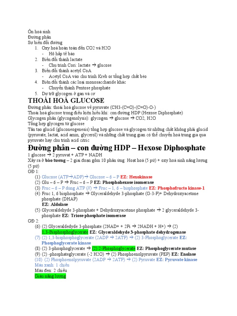 Đư NG Phân - Con Đư NG HDP - Hexose Diphosphate: Thoái Hoá Glucose | PDF