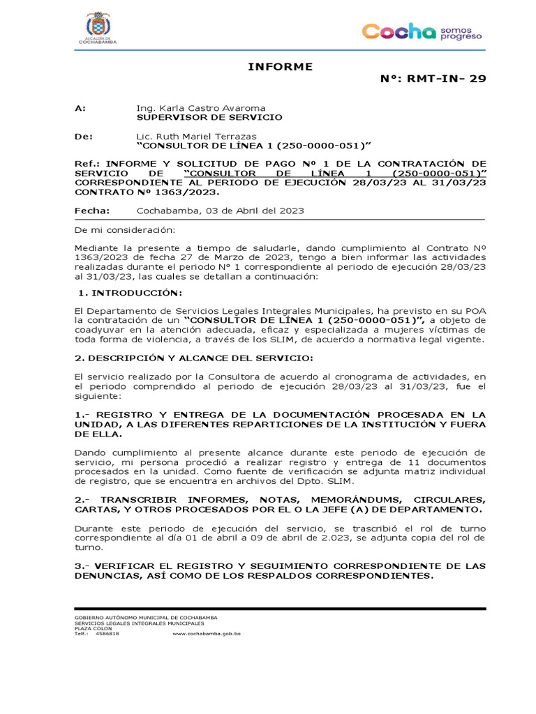 Modelo Informe Consultor, Original | PDF