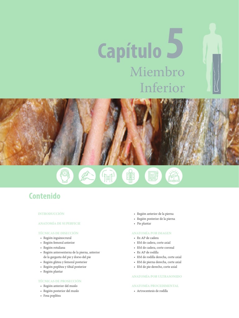 Cap05-Ejercicios Resueltos | PDF