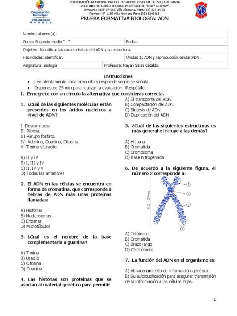 Bio 2EM U1 E01 evaluación-formativa-ADN | PDF | Adn | Histona