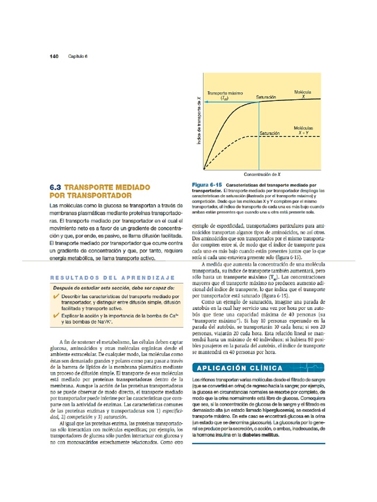 Potencial de Membrana y Transporte | PDF