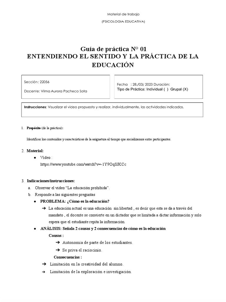 4 Guía Práctica 1ra Sem. Version Vaps | PDF | Creatividad | Maestros