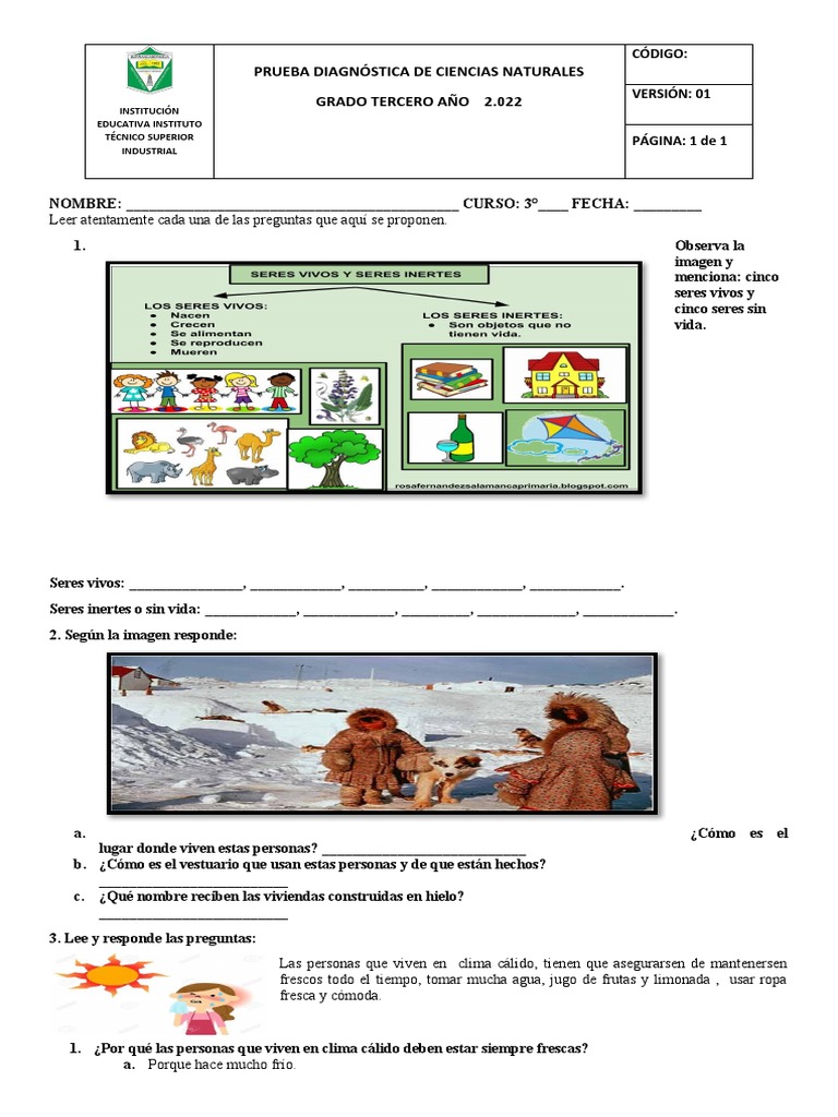 Prueba Diagnóstica de Ciencias Naturales Grado Tercero Año 2021 | PDF ...