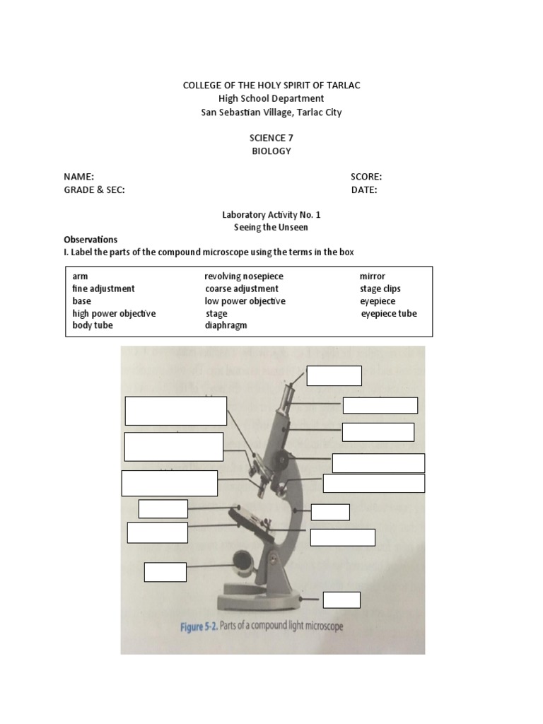 Microscope Parts & Observations Activity | PDF | Science & Mathematics