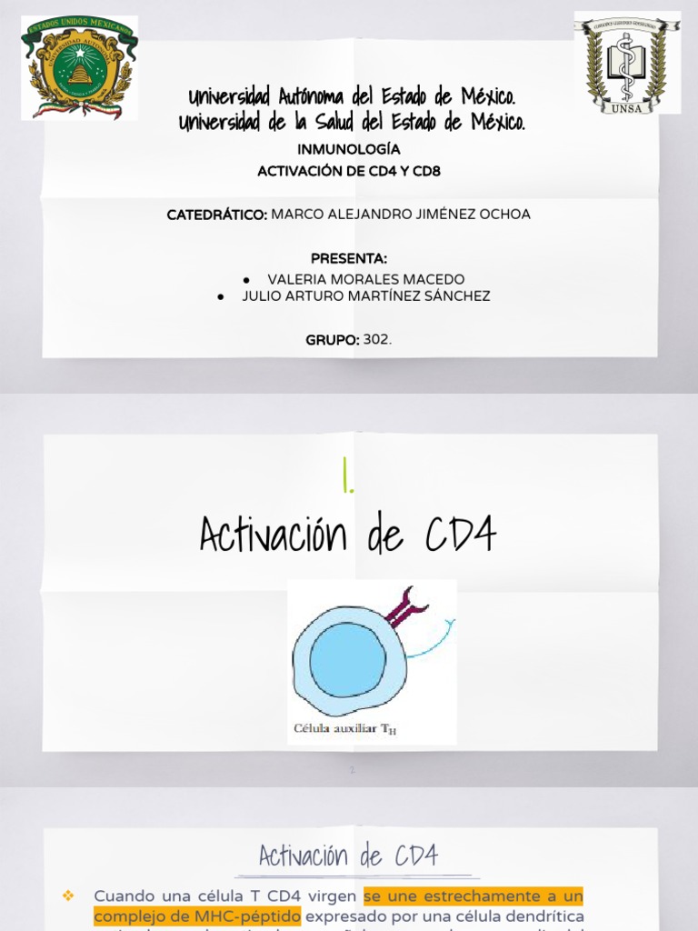 Activación de Linfocitos CD4 y CD8 | PDF | Célula T citotóxica | Célula T