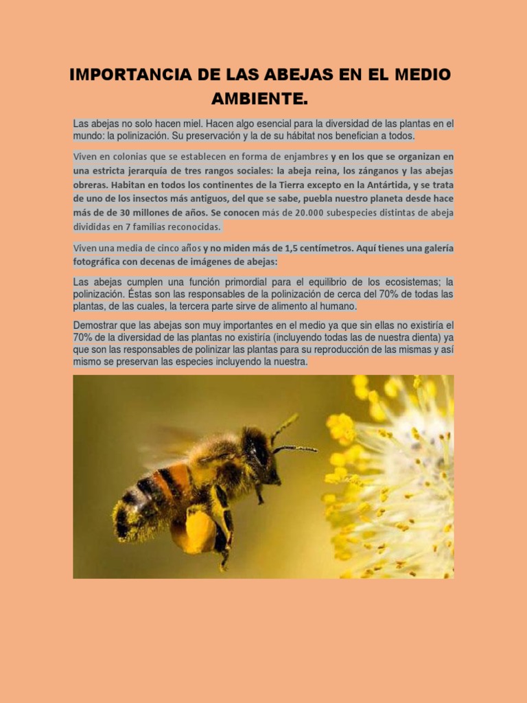 Importancia de las Abejas en el Ecosistema | PDF | Abejas | Polinización