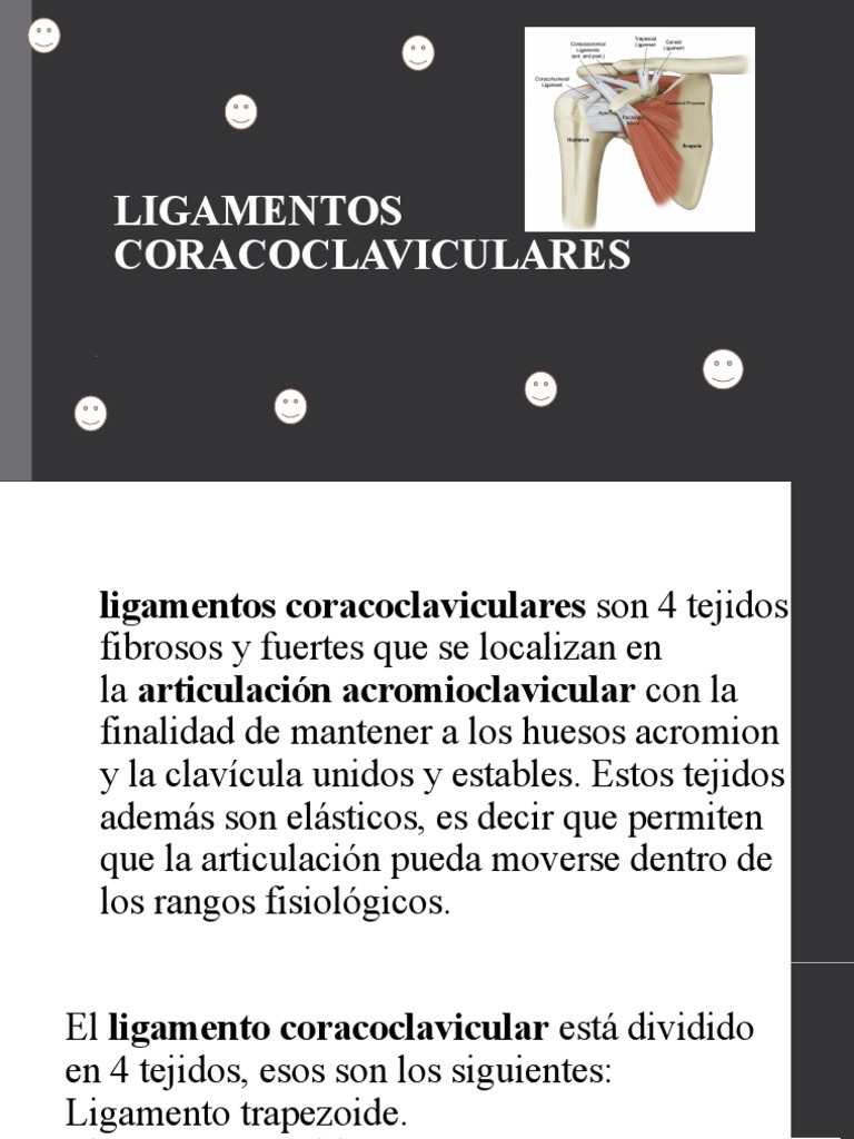 LIGAMENTOS CORACOCLAVICULARES | PDF