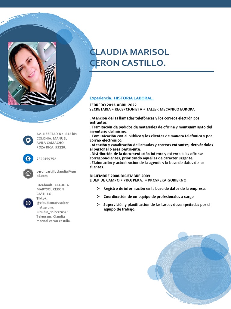 Claudia Marisol Ceron Castillo.: Experiencia. HISTORIA LABORAL | PDF