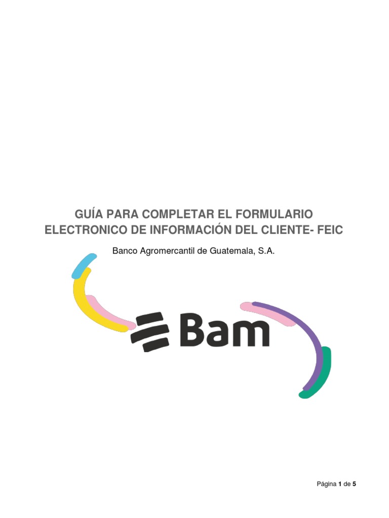 Guía para Completar El Formulario Electronico de Información Del ...
