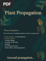 Planting System in Orchards | PDF | Rectangle | Orchard