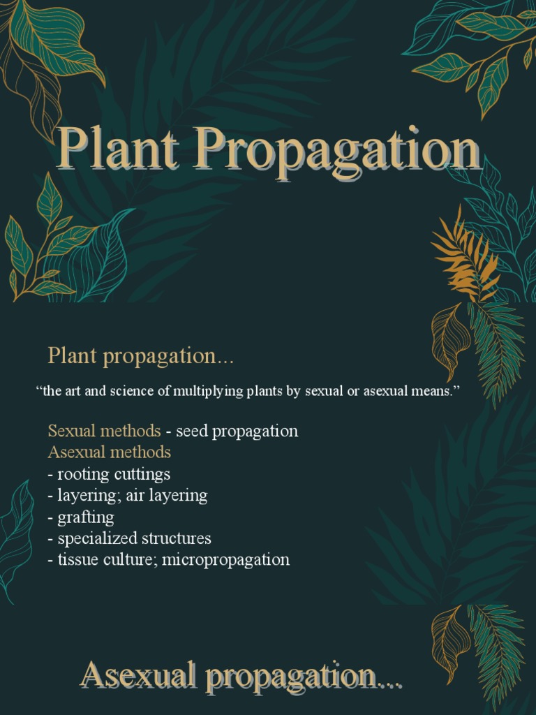 Marcotting: A Guide to Plant Propagation | PDF