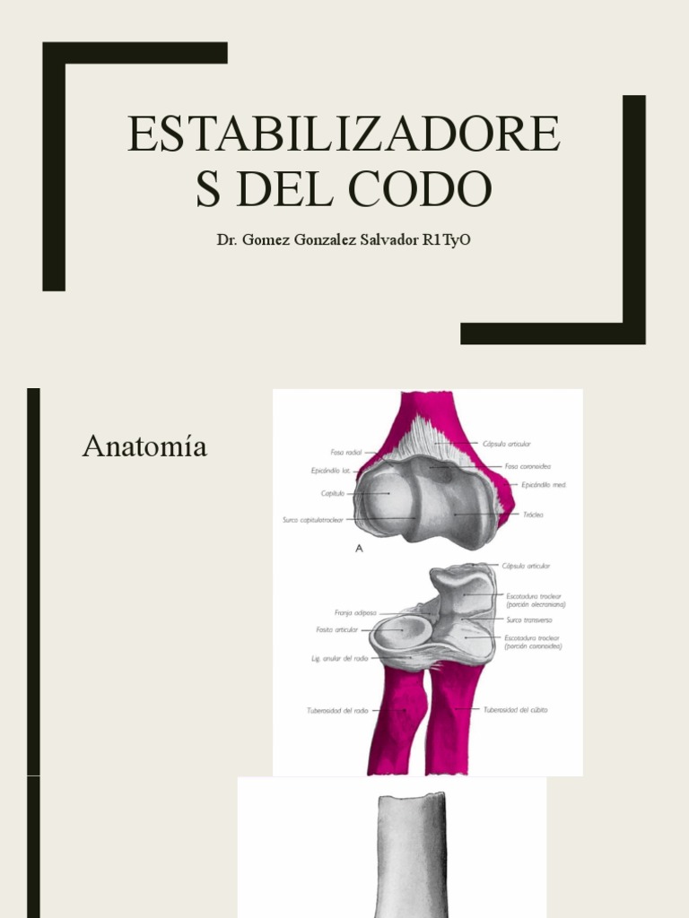 Estabilizadores Del Codo | PDF