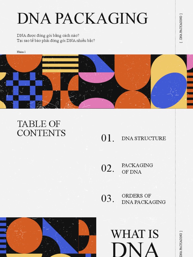 Dna Packaging | PDF