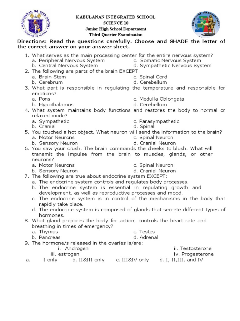 3rd Quarter Exam Science 10 | PDF | Nervous System | Human Body