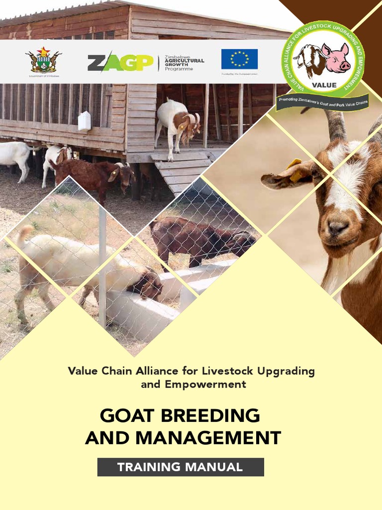 Goat Breeding Training Manual ZAGP | PDF | Goat | Selective Breeding