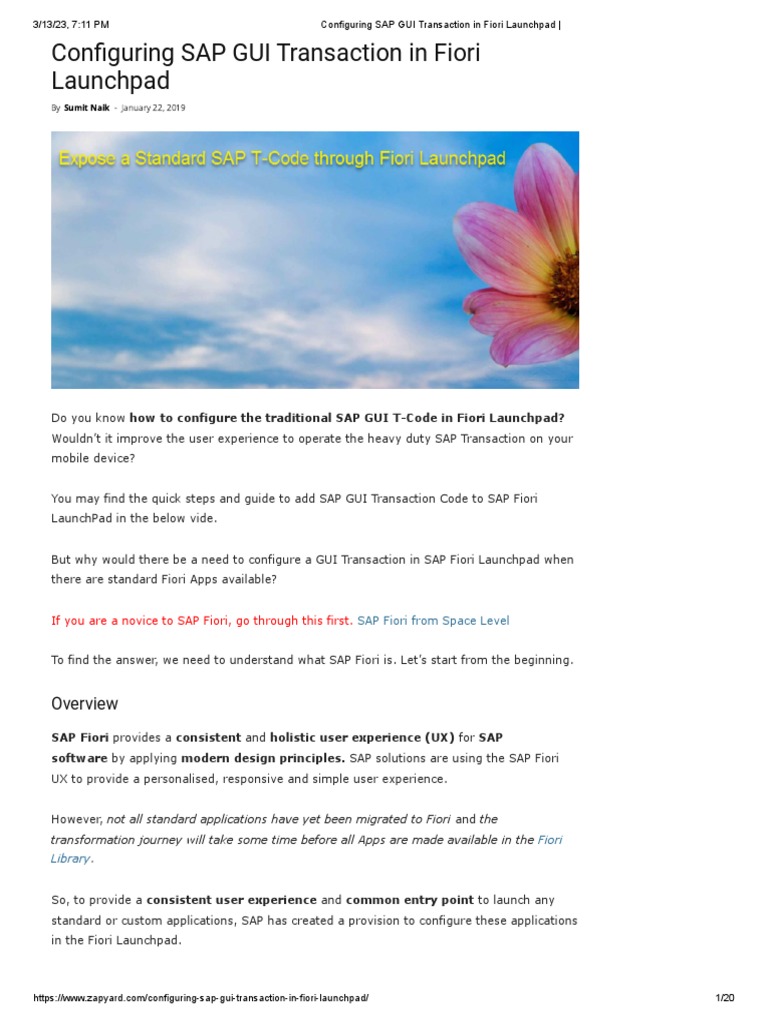 Configuring SAP GUI Transaction in Fiori Launchpad | PDF | Graphical User Interfaces ...