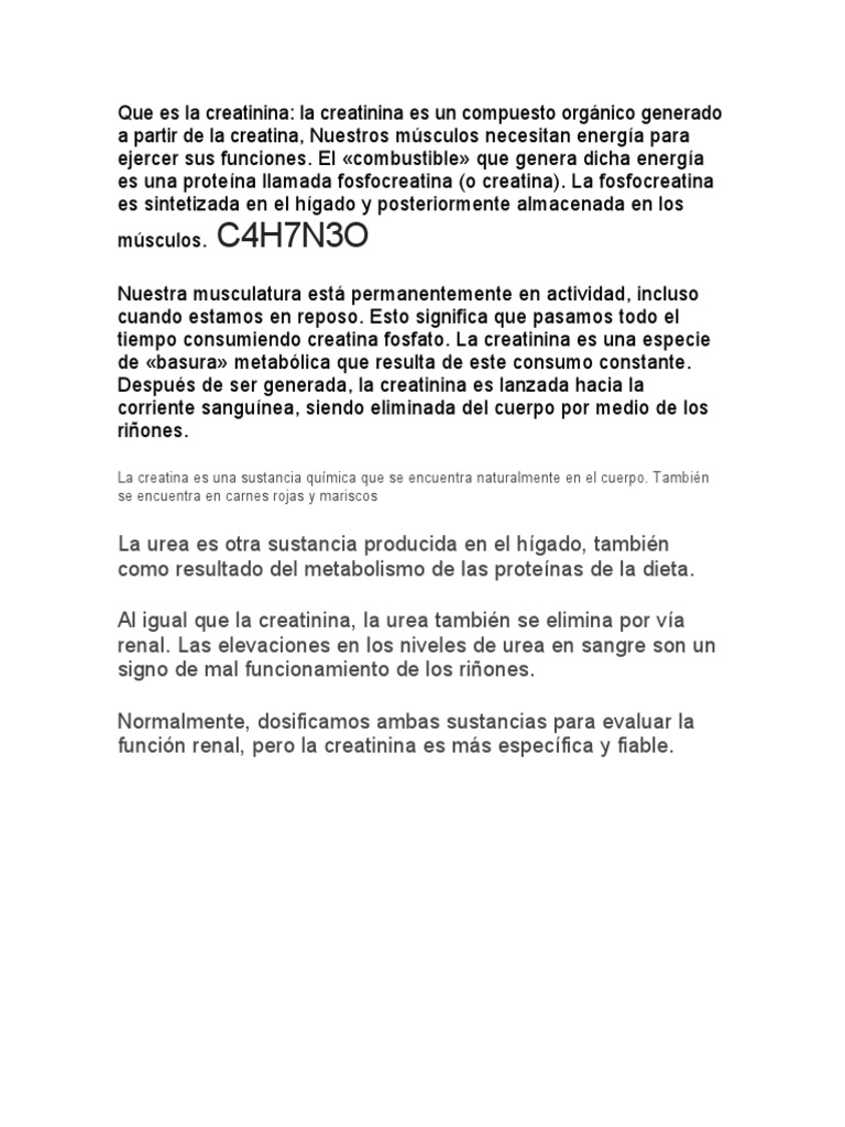 Creatinina y urea: Función y diagnóstico | PDF | Riñón | Creatinina