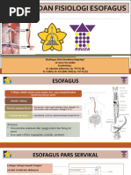 Anatomi Lengkap Esofagus | PDF