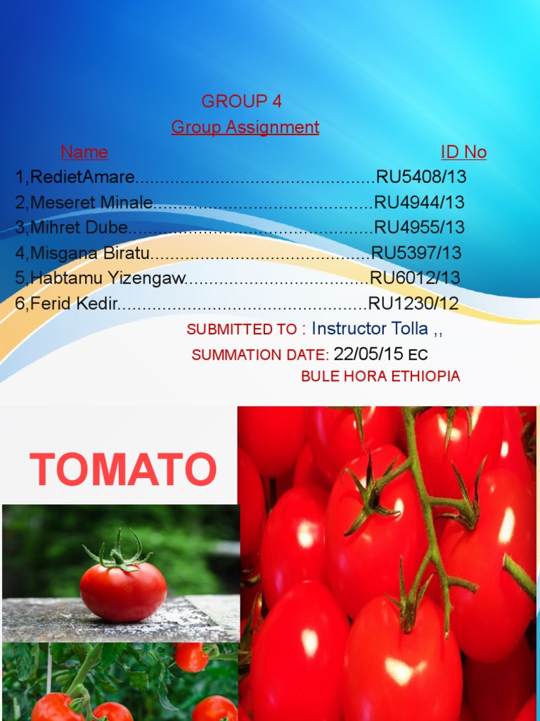 VEGETABLE | PDF | Tomato | Soil