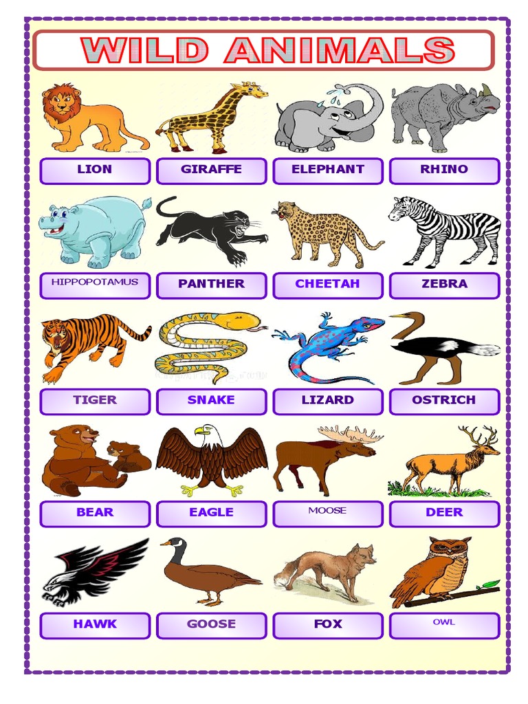 Wild Animals | PDF