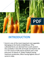 Carrots | PDF | Carrot | Agriculture