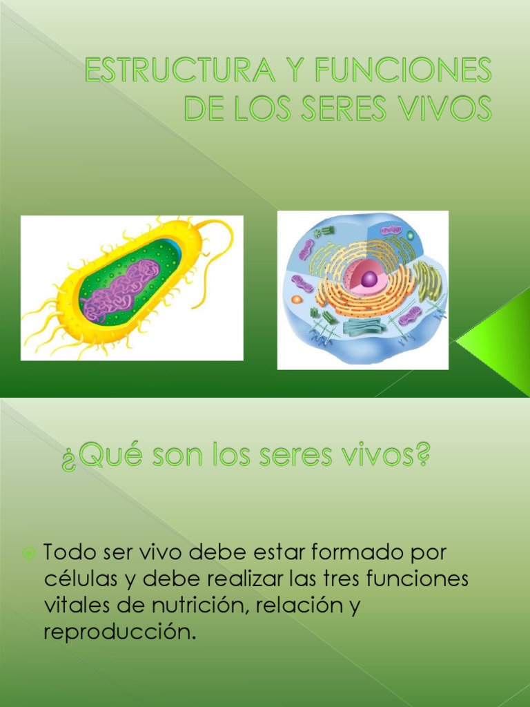 Tema 1. Estructura y Funciones de Los Seres Vivos | PDF | Biología ...