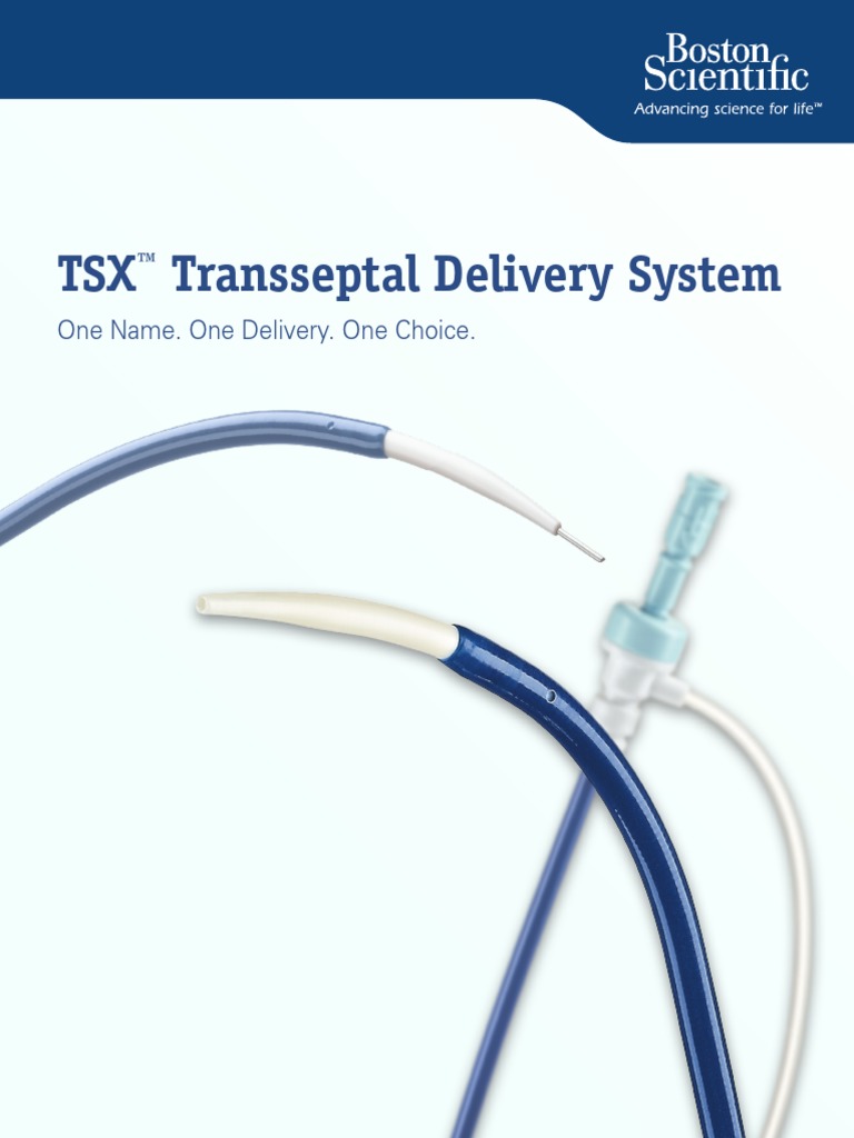 EP 308608 AD TSX Transseptal System Brochure | PDF | Heart | Atrium (Heart)