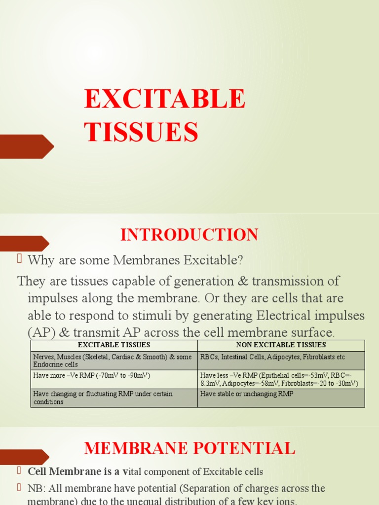 2022 Set-EXCITABLE TISSUES Membrane Potential & Neurons | PDF | Neuron | Axon