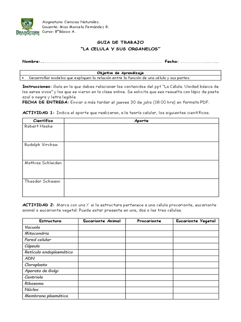 8° A - Ciencias Naturales Guía de Trabajo. La Célula 15 de Julio. | PDF ...