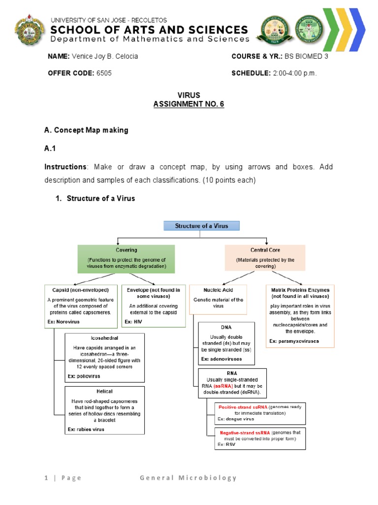 Assignment - Module 6 | PDF | Antiviral Drug | Virus