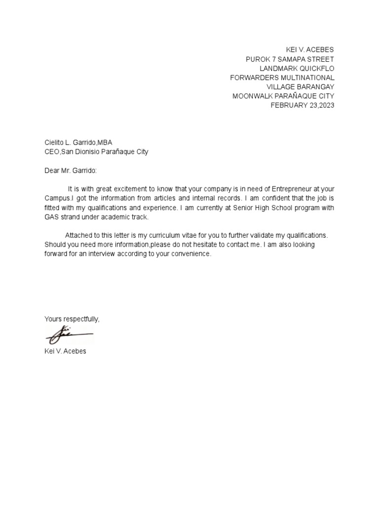 Application for Entrepreneur Position | PDF