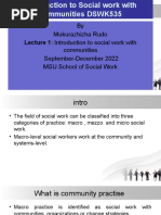 Community Work Process Report Number 1 | PDF | System | Social Work