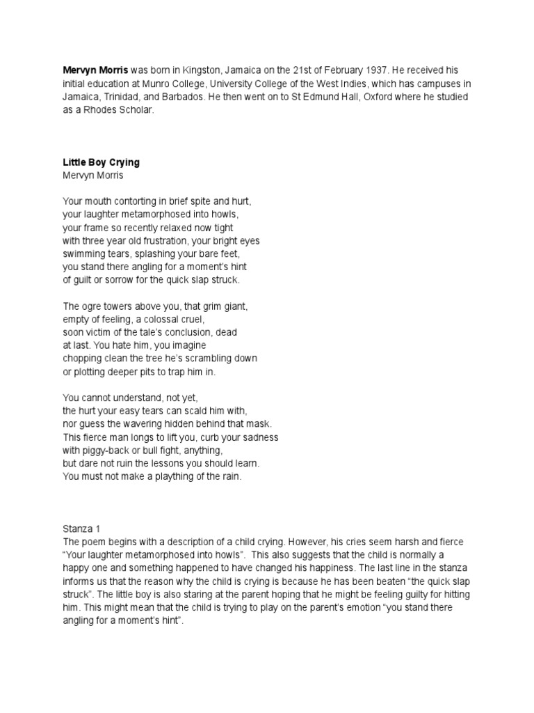 Little Boy Crying | PDF | Psychology | Psychological Concepts