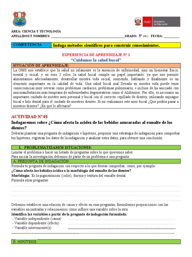MODELO DE EXPERIENCIA DE APRENDIZAJE EVALUACION DIAGNOSTICA 5TO AÑO SEC. | PDF