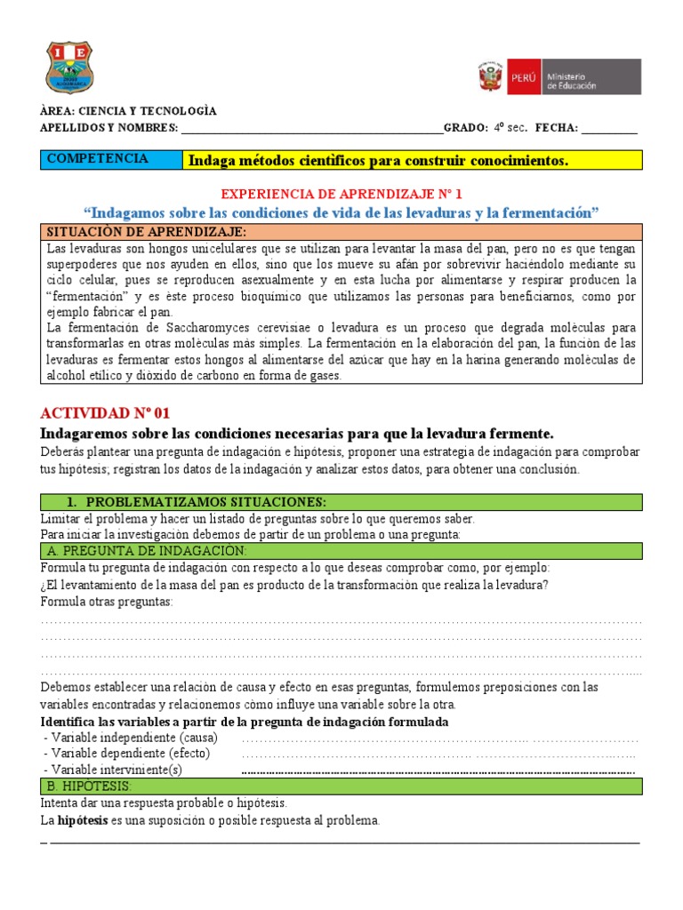 Modelo De Experiencia De Aprendizaje Evaluación Diagnòstica 4 Año Pdf