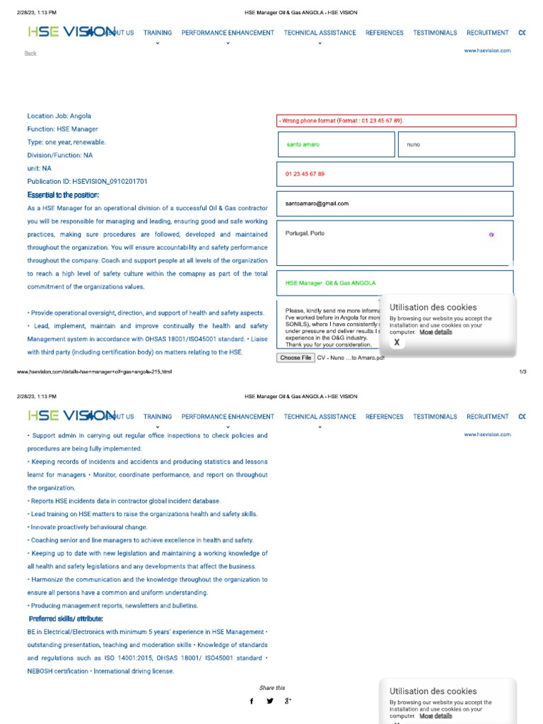 HSE VISION - HSE Manager - Angola | PDF