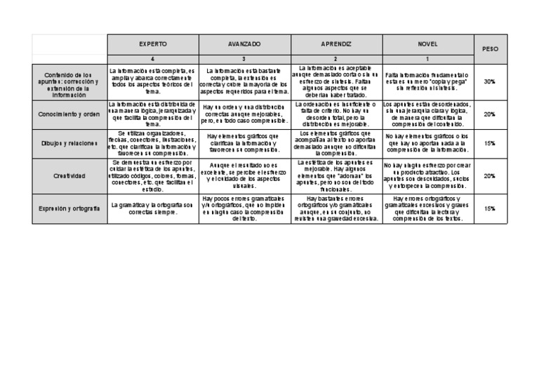 Rúbrica Visual Thinking - Rúbrica | PDF | Gramática | Información