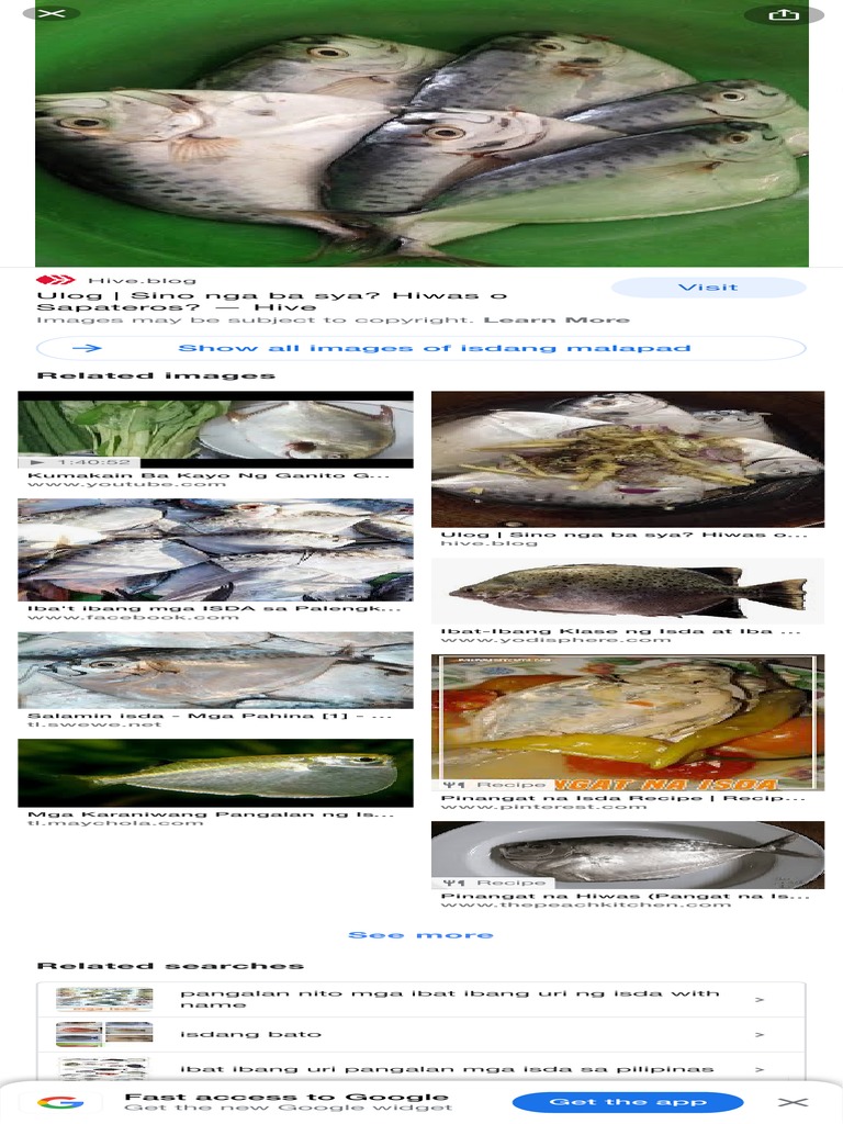 Isdang Malapad | PDF