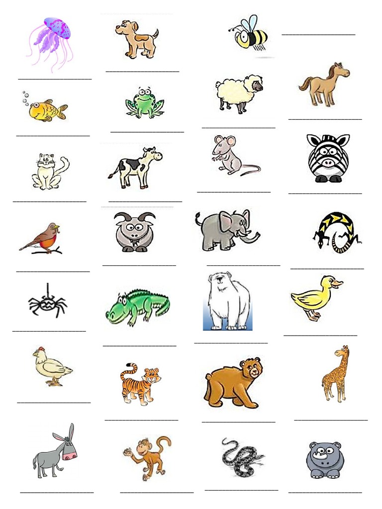 Animals Pre A1 Starters | PDF