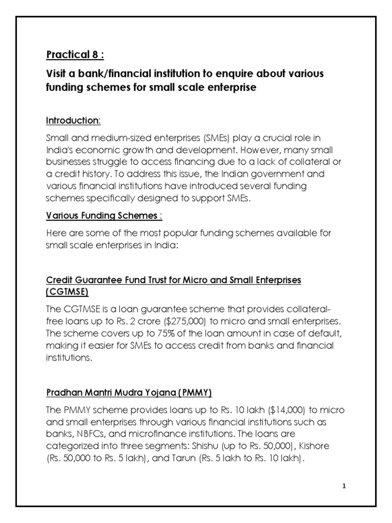 Practical 8: Visit A Bank/financial Institution To Enquire About Various Funding Schemes For ...