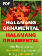 Halamang Dahon | PDF