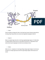 Bagian Neuron Dan Fungsinya | PDF